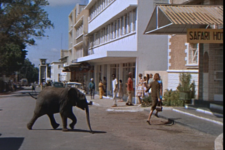 Adventure Film Review – Hatari (1962) – Head's Film and Book Review